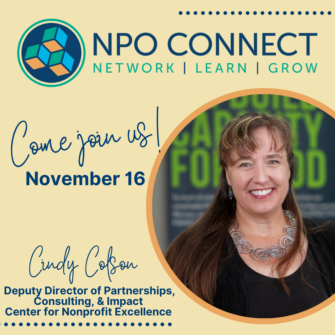 NPO CONNECT: Building a Board Pipeline – Community Foundation